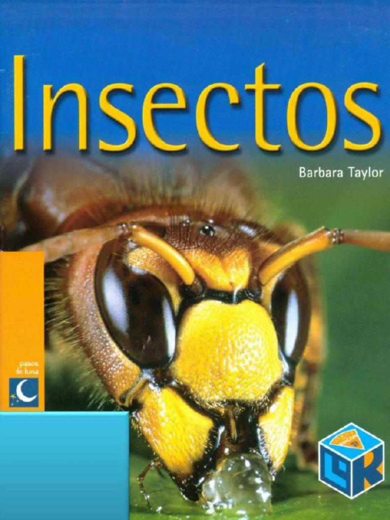 Insectos | PDF