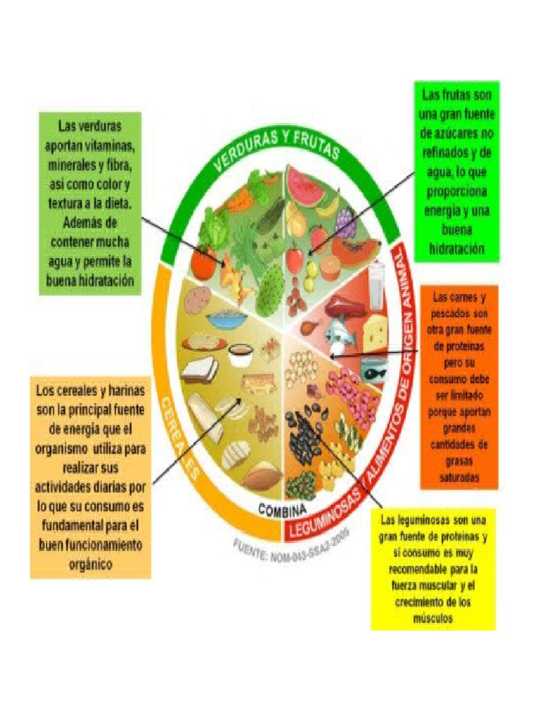 El Plato Del Buen Comer | PDF