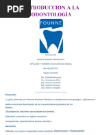Cíngulo Dental: Revisión y Funciones | PDF | Boca | Odontología