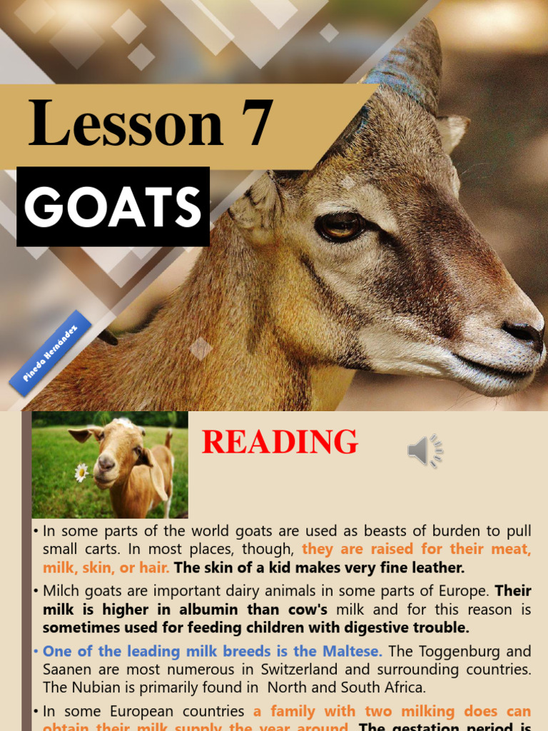GOATS PDF (1) - Merged | PDF | Honey Bee | Goat