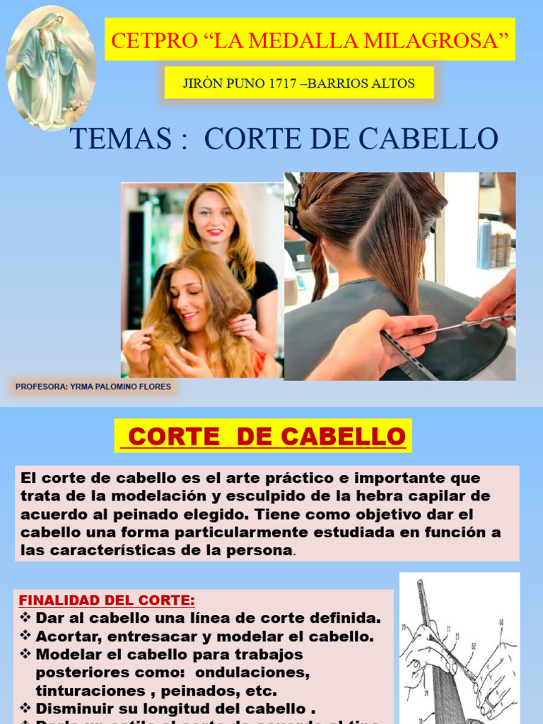 Bases Del Corte de Cabello | PDF | Pelo