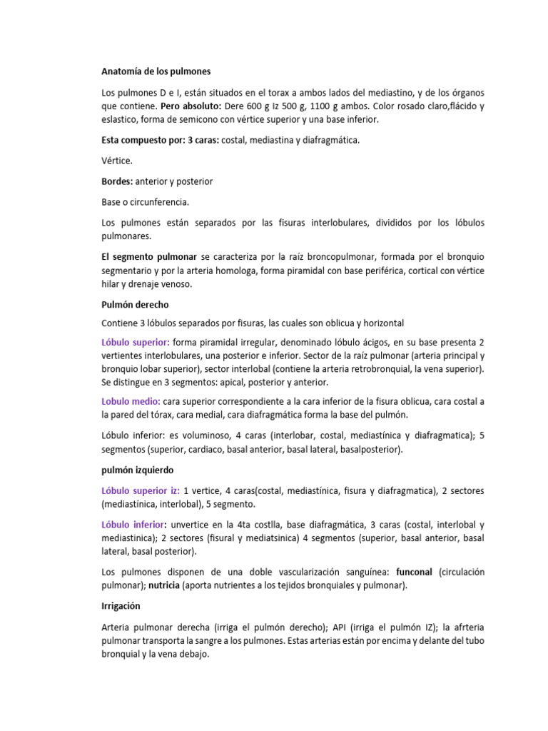 Anatomía de los pulmones | PDF | Pulmón | Sistema respiratorio