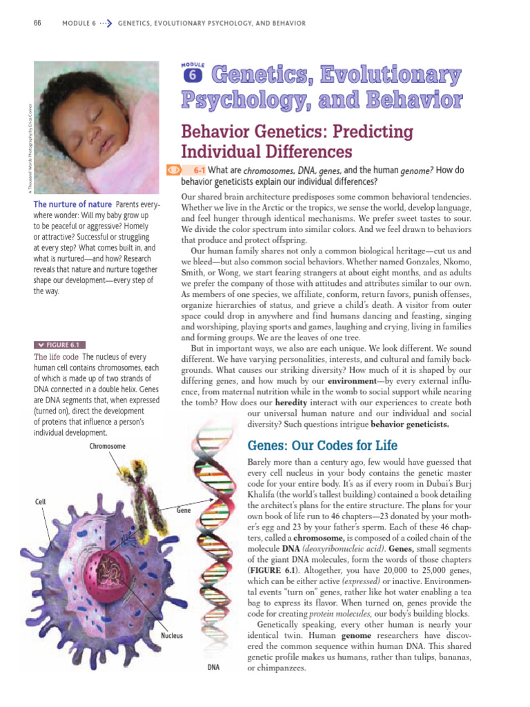 Module 2 - Psychology | PDF