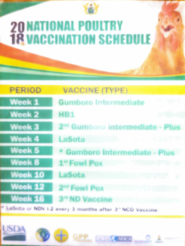 Poultry Vaccination Schedule Overview | PDF | Science & Mathematics