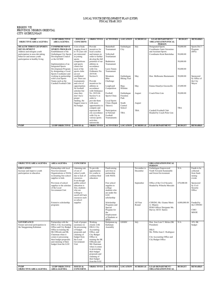 LOCAL YOUTH DEVELOPMENT PLAN | PDF