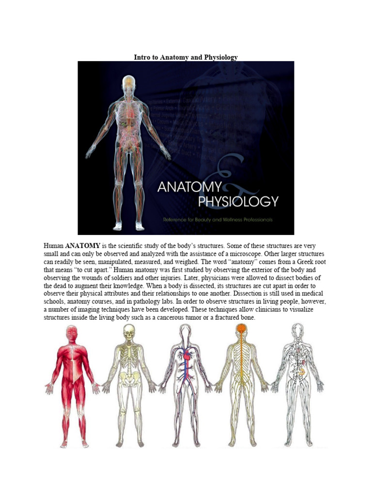 Intro to Anatomy and Physiology | PDF