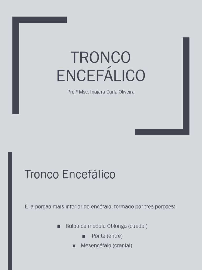 4 Tronco Encefálico | PDF
