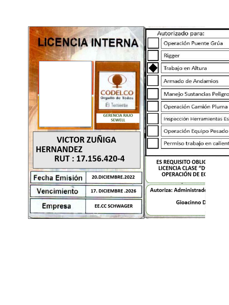 Formato Credencial | PDF