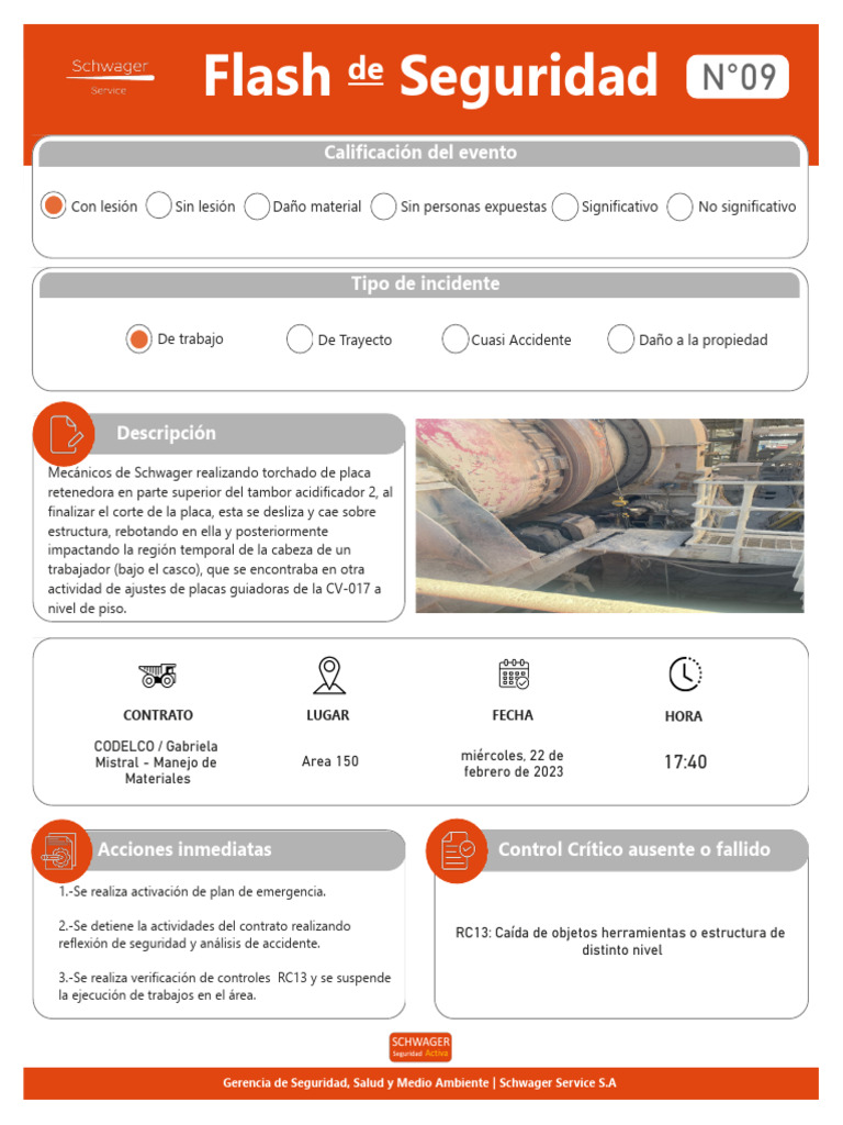 Informe Flash Schwager N°09 2023 | PDF