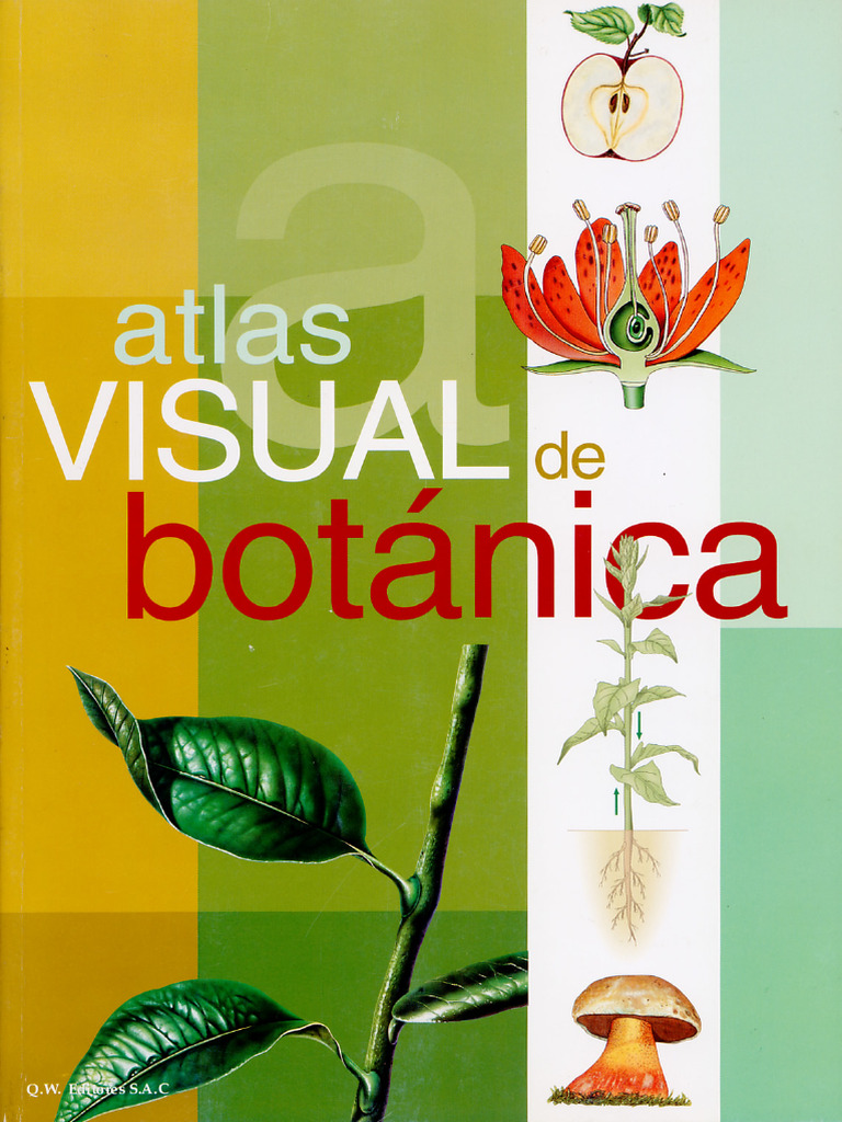 Atlas Visual Botanica | PDF