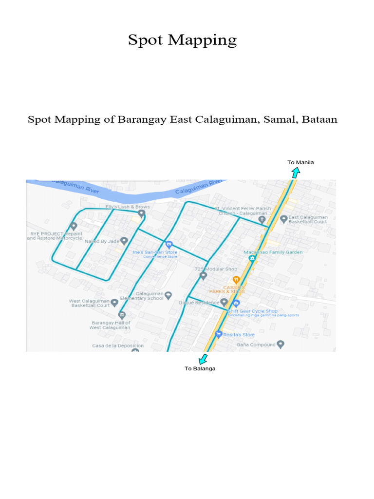 Spot Mapping2 (1) | PDF