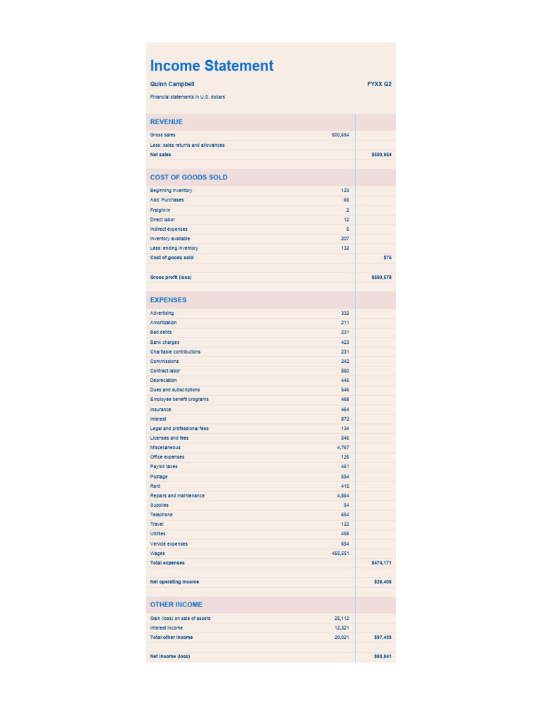 Income Statement 1 Year | PDF