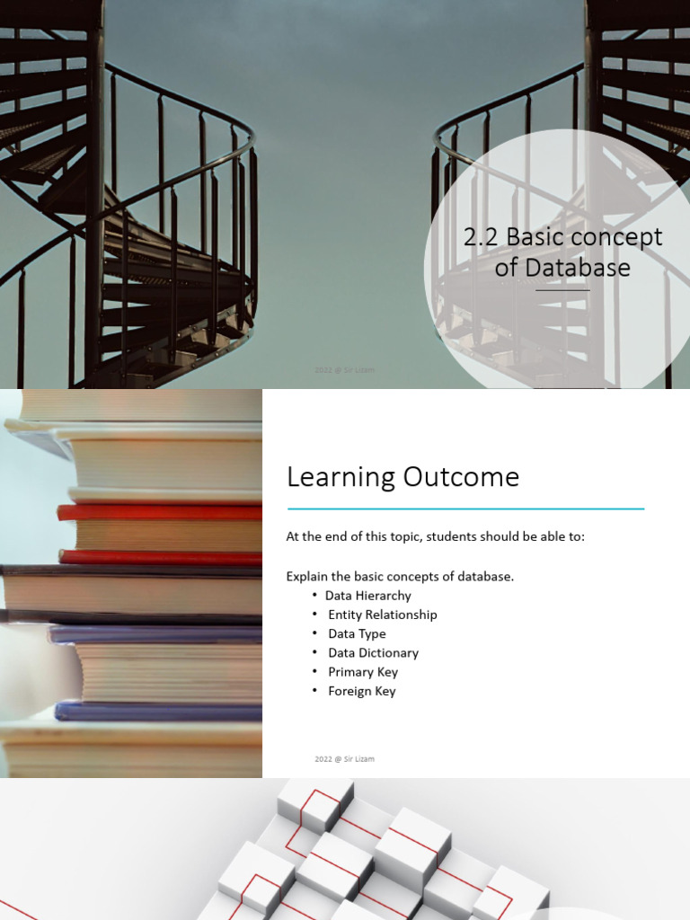 Topic 2 - 2 Basic Concept of Database | PDF