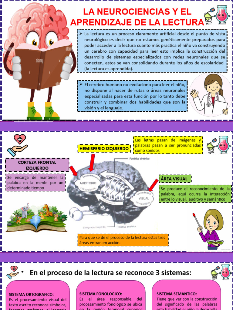 La Neurociencia y La Lectura | PDF | Percepción visual | Aprendizaje