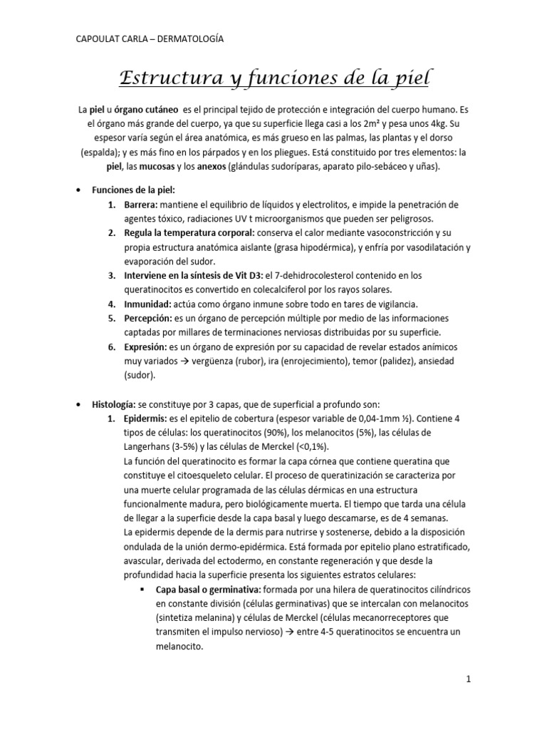 Resumen Dermatologia | PDF | Piel | Especialidades Medicas