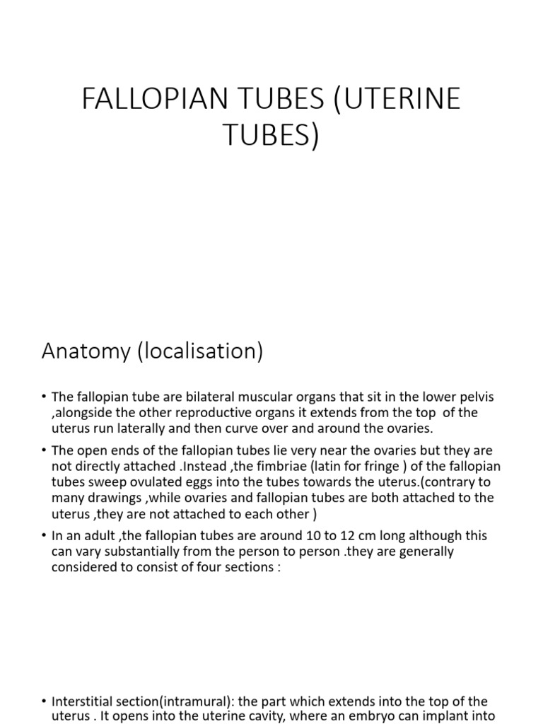 Anatomy Fallopian Tubes | PDF | Uterus | Reproduction
