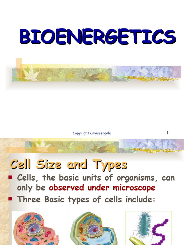 Bioenergetics 1 | PDF | Photosynthesis | Adenosine Triphosphate Bioenergetics 1 | PDF | Photosynthesis | Adenosine Triphosphate
