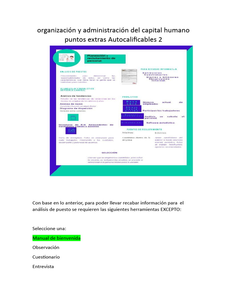 Organización y Administración Del Capital Humano Puntos Extras Autocalificables 2 | PDF