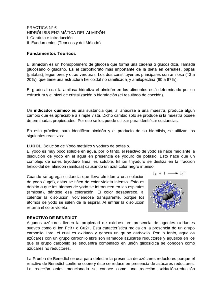 Informe N°6 | PDF