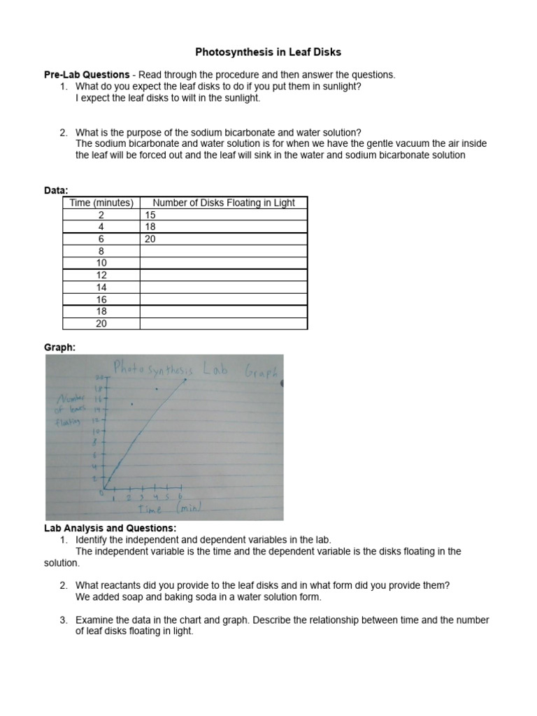 Alfred Robinson - Student Sheet - Photosynthesis in Leaf Disks Lab ...