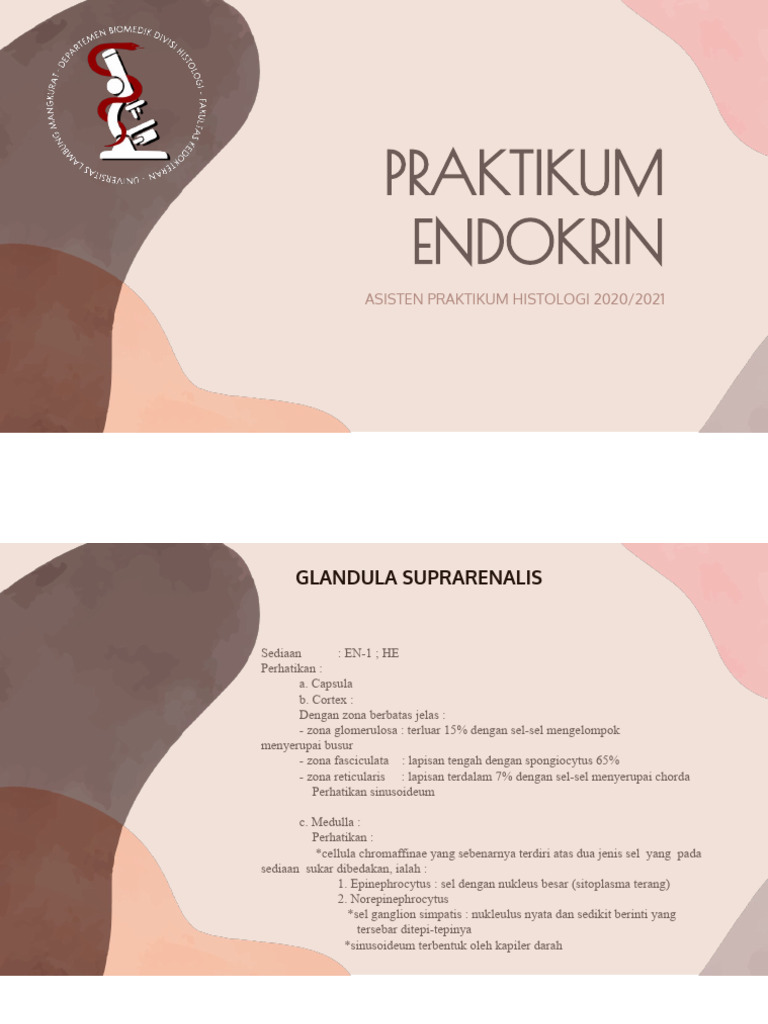 Praktikum Endokrin 2021 PSPD PDF | PDF