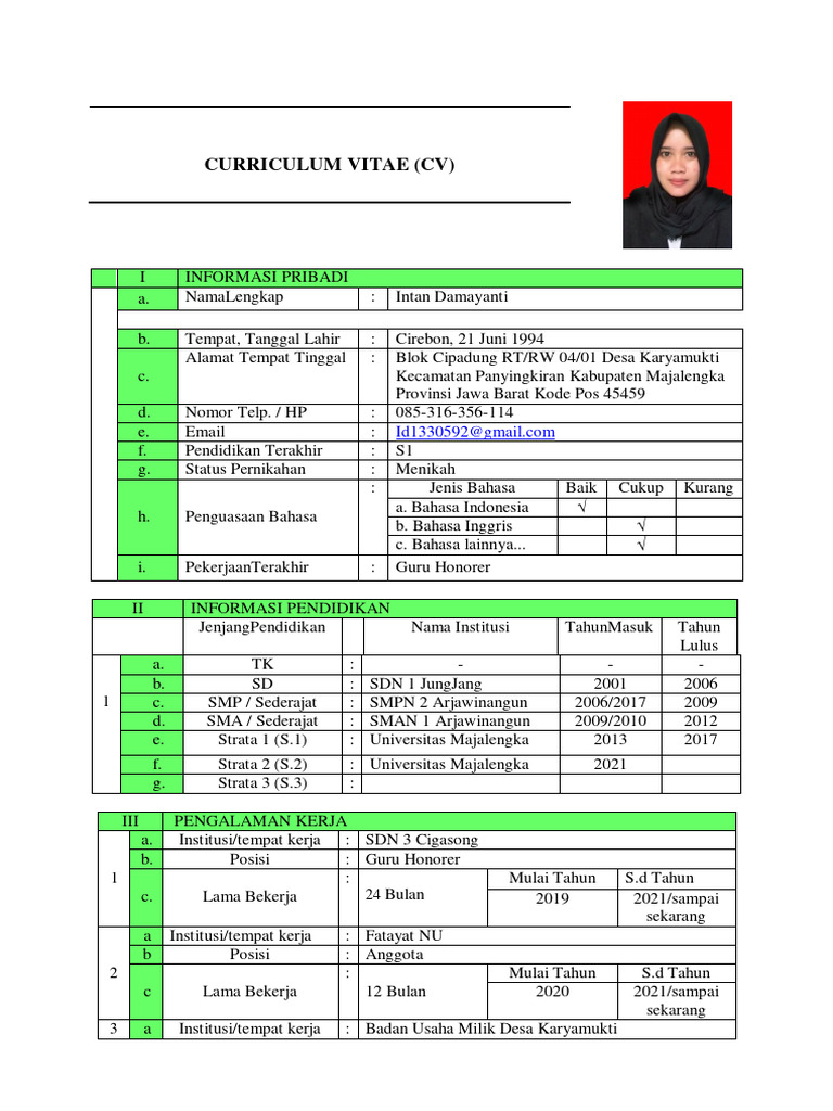 CV Intan Damayanti | PDF