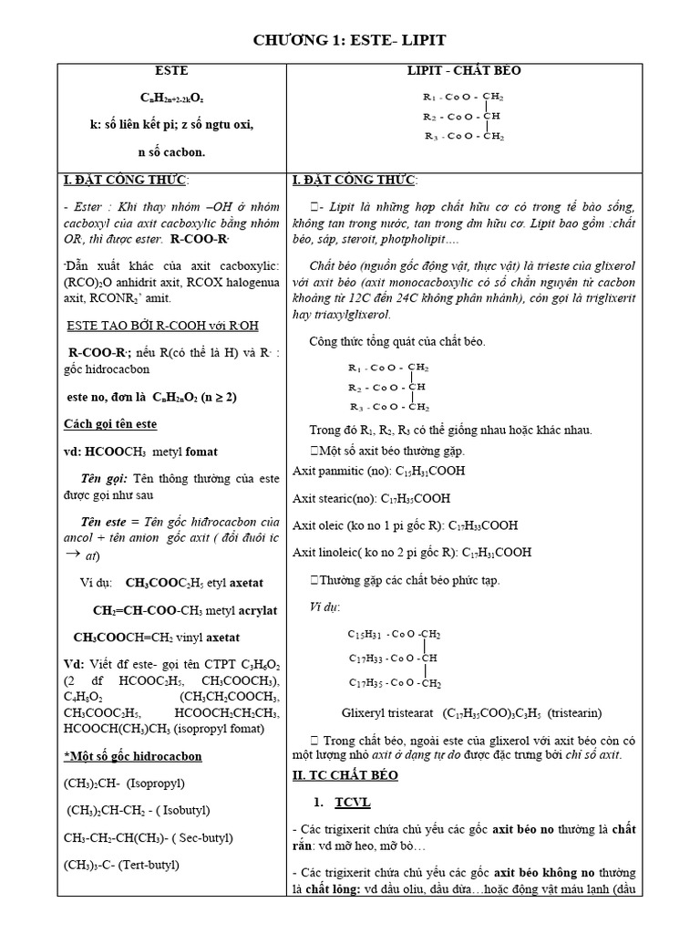 01-Ly Thuyet Este-Lipit | PDF