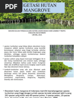 8 Jenis Mangrove dan Ciri-Cirinya | PDF
