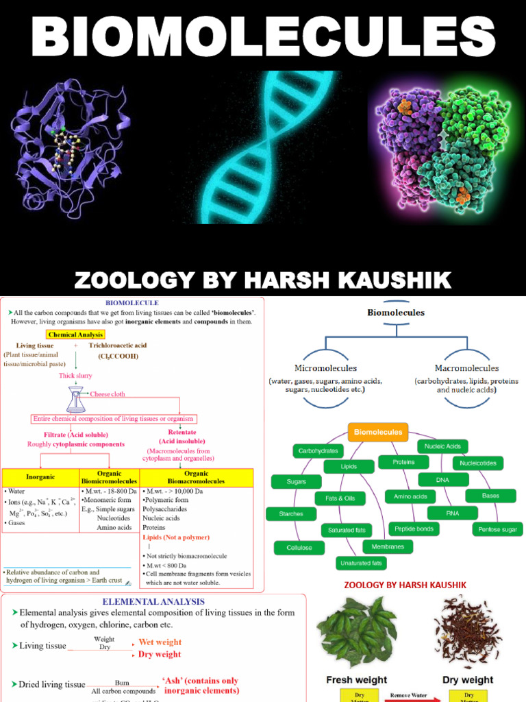 Biomolecules Notes by Zhk Sir | PDF