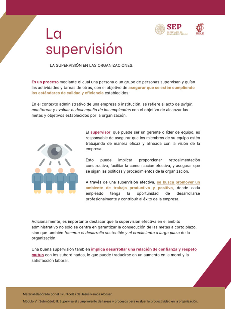 Supervisión Efectiva en Organizaciones | PDF