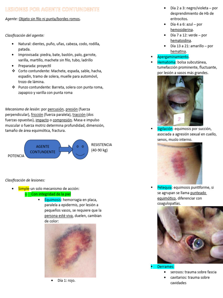 Lesiones Contusas | PDF | Anatomía