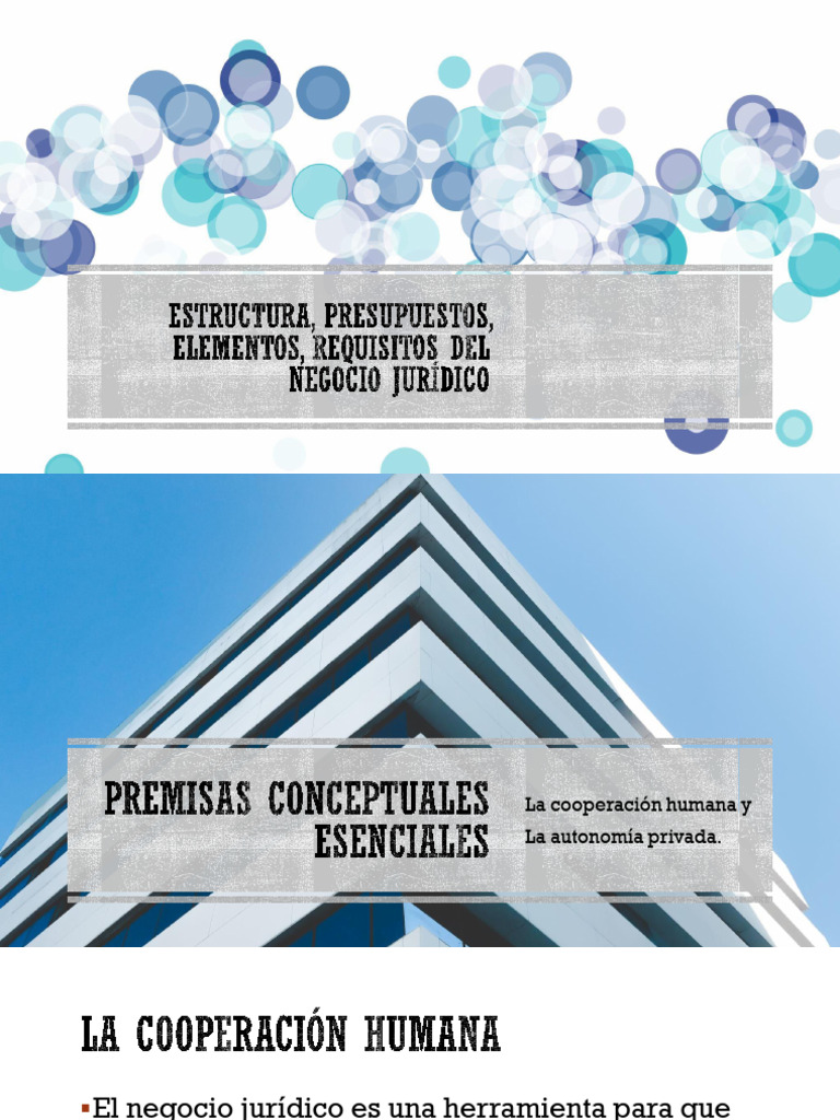 03-Estructura, Presupuestos, Elementos, Requisitos Del | PDF | Comportamiento