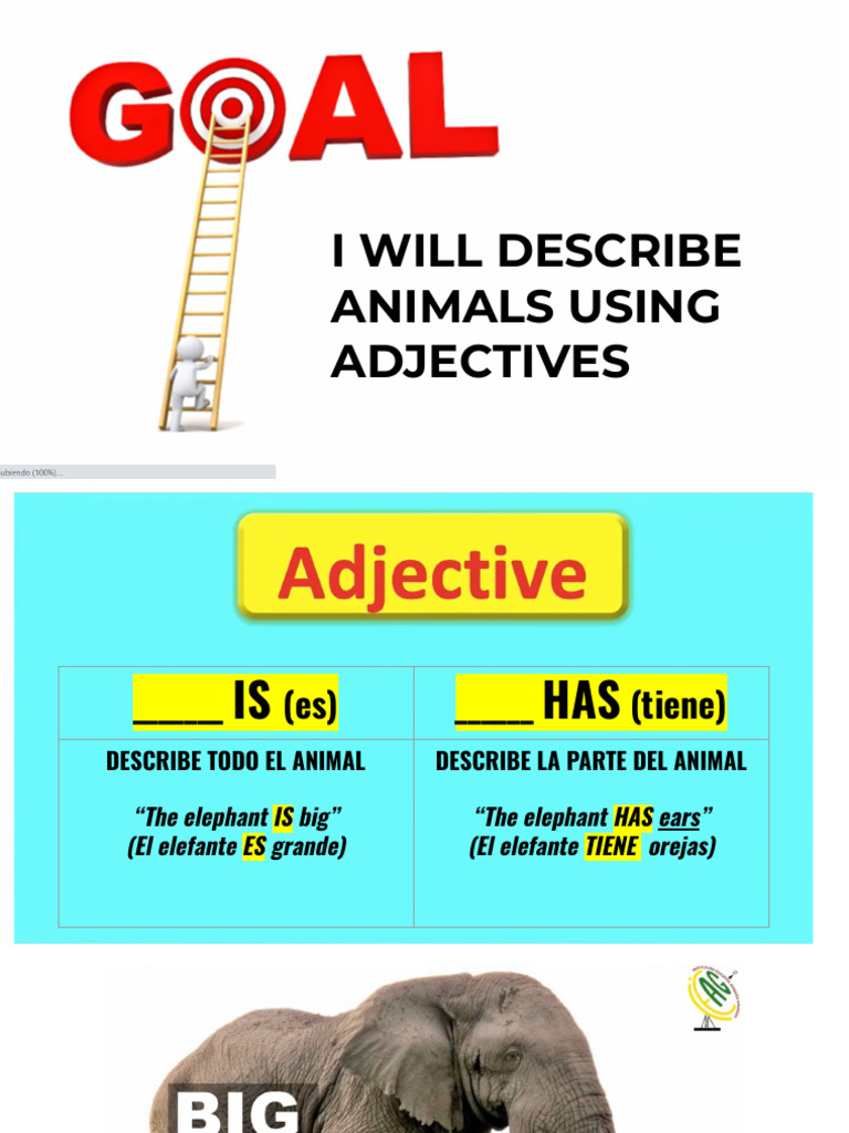 Animal Adjectives | PDF