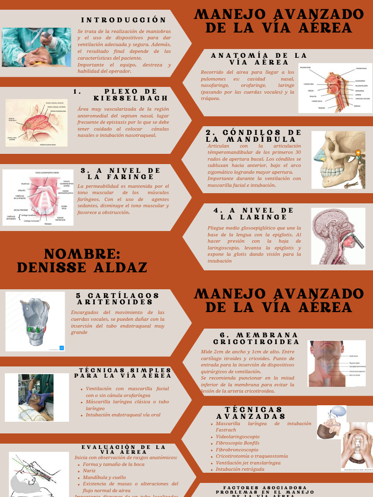 Manejo Avanzado de La Vía Aérea | PDF | Laringe | Anatomía Manejo Avanzado de La Vía Aérea | PDF | Laringe | Anatomía