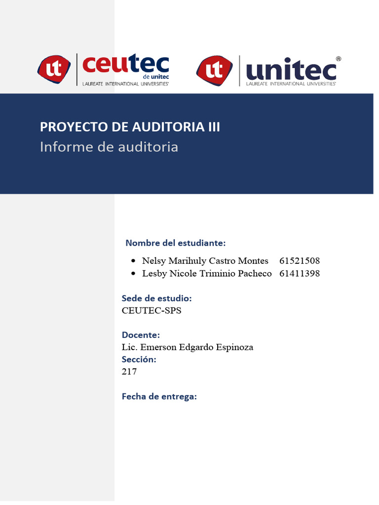Proyecto de Auditoria 3 | Descargar gratis PDF | Auditoría | Estado financiero