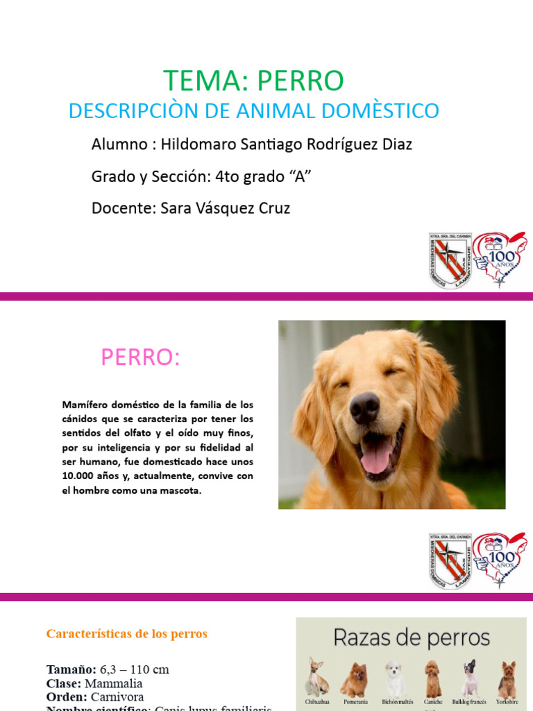 Perro Descripciòn | PDF