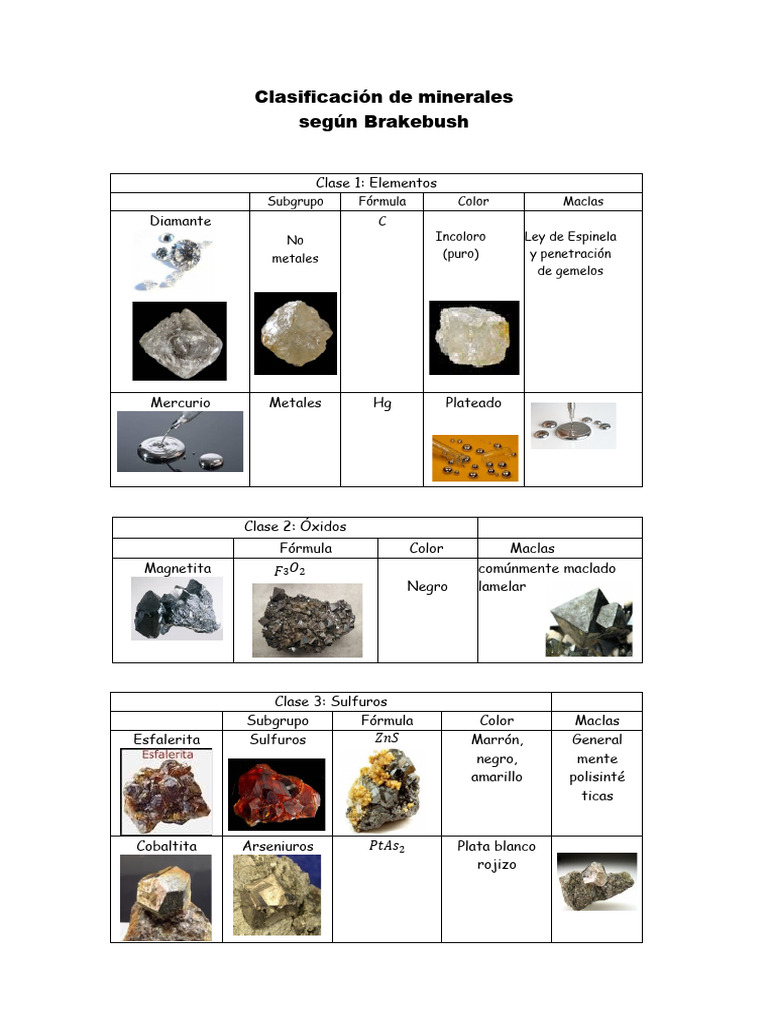 Clasificación de Brakebush | PDF