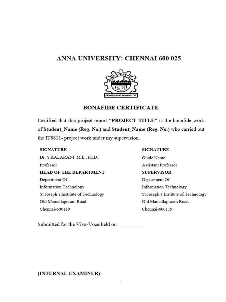 Phase - 1 Report Template | PDF