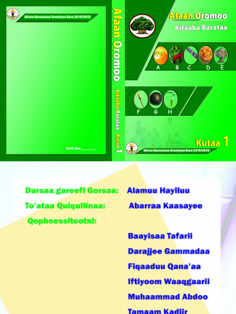 Afaan Oromoo Kutaa 1 | PDF