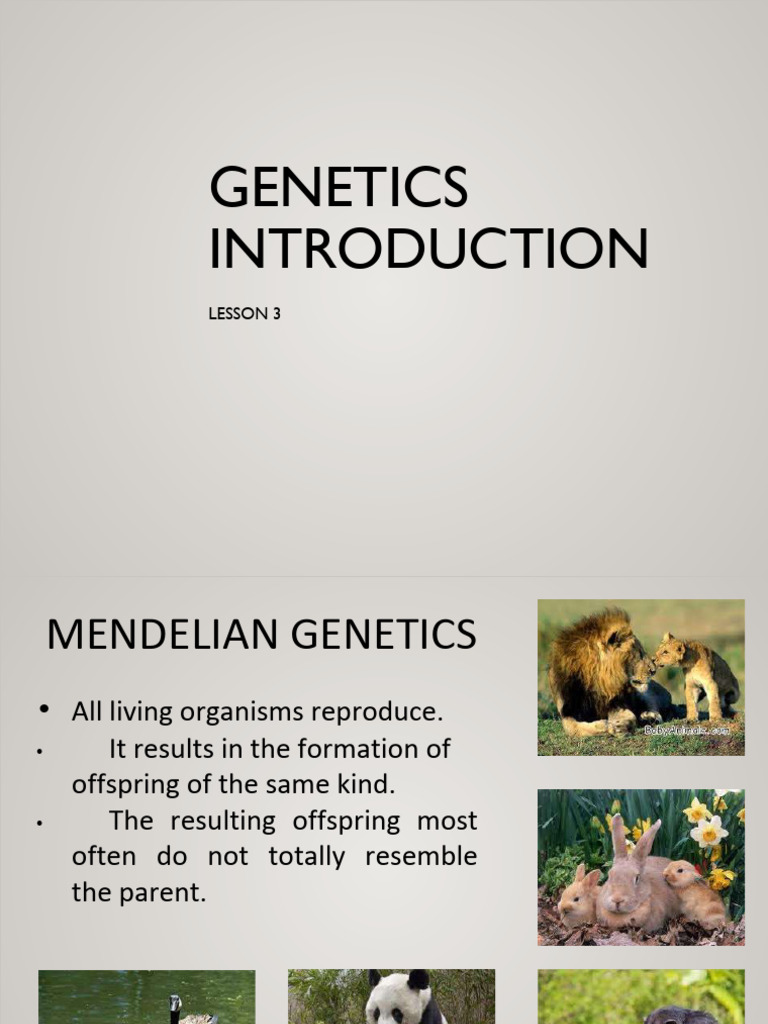 Genetics Intro | Download Free PDF | Dominance (Genetics) | Biological ... Genetics Intro | Download Free PDF | Dominance (Genetics) | Biological ...