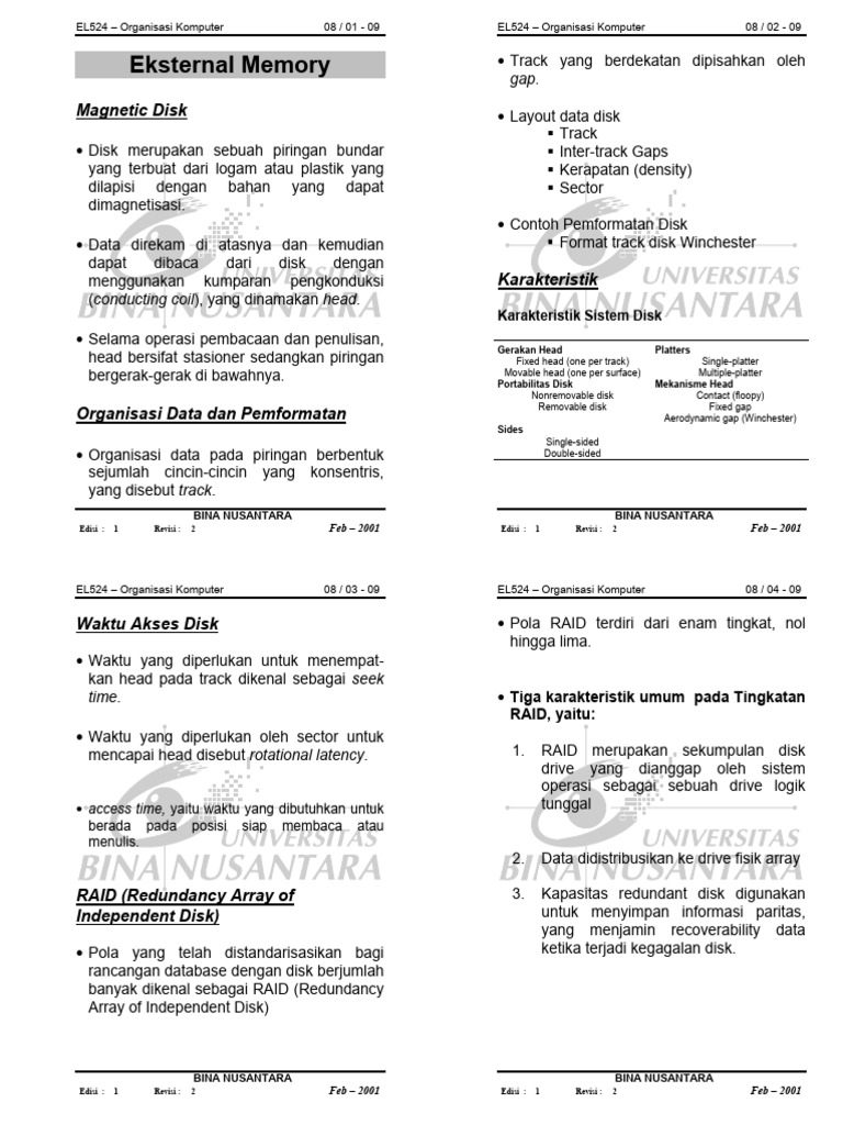 External Memory, RAID | PDF