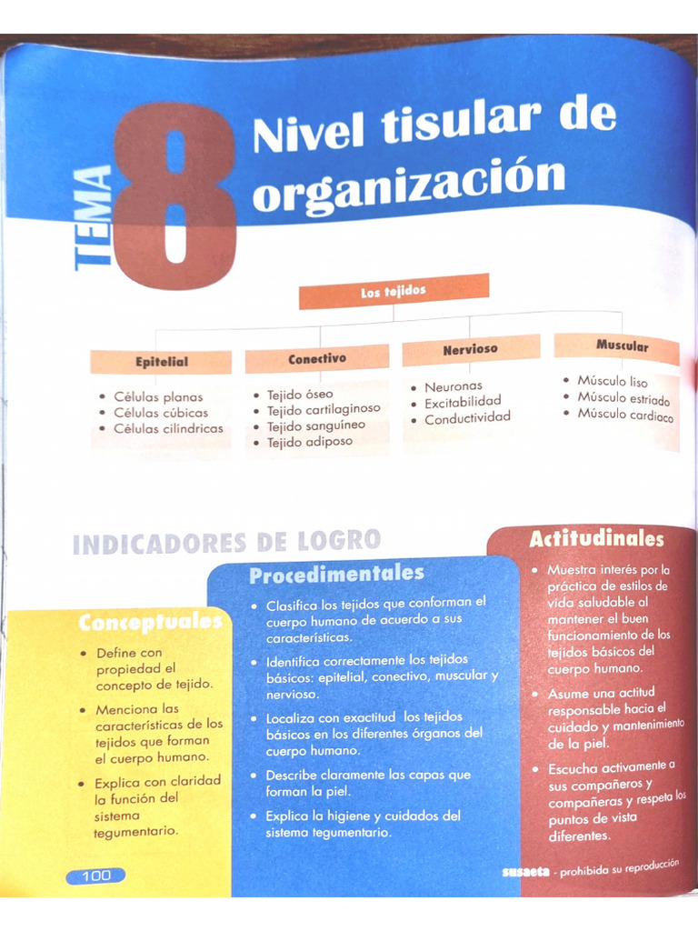 Nivel Tisular de Organización | PDF