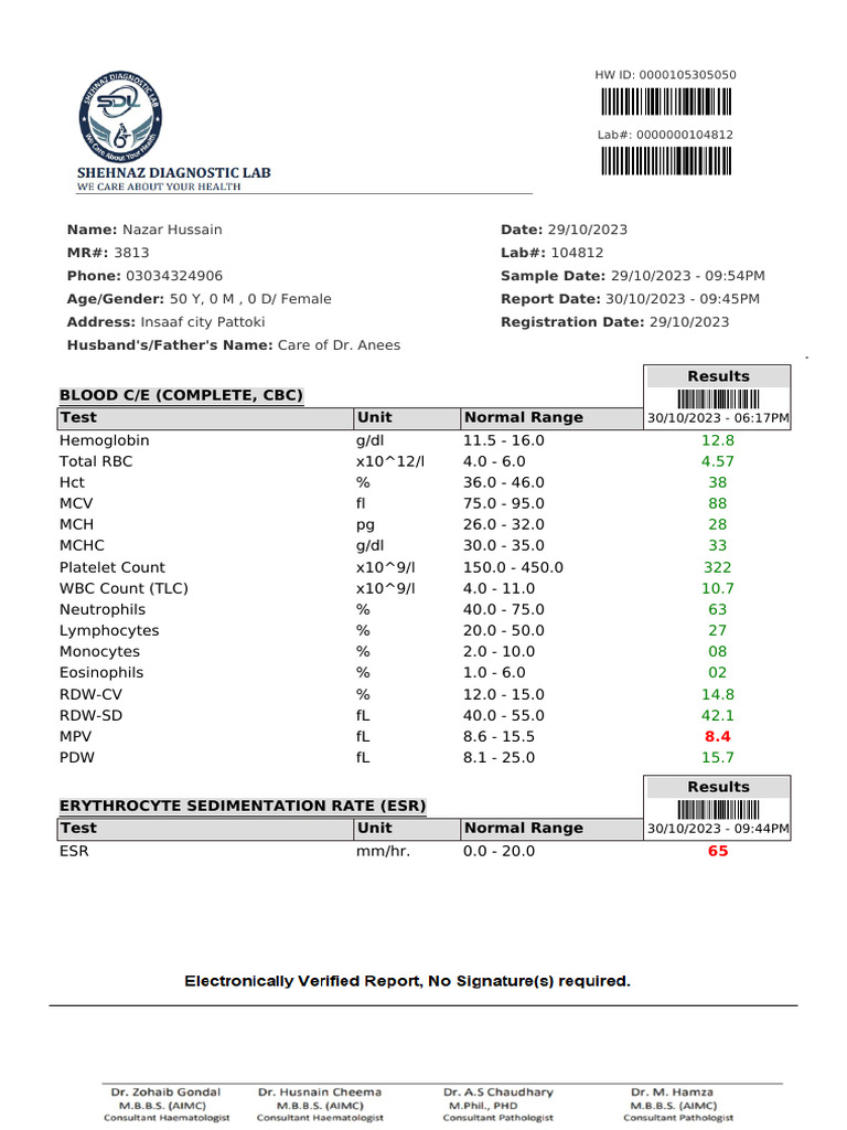 3813 - Nazar Hussain - Laboratory Report | PDF | Medical Specialties ...
