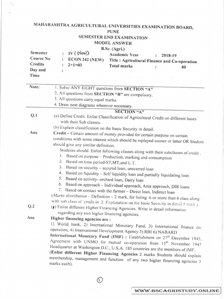 Econ 242 Model Ans 18 19 | PDF