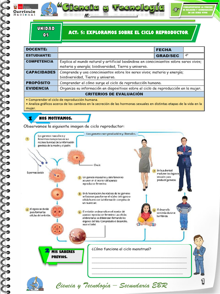 C-4º Act 5-Cyt-Und 5 - Sem 3 | PDF