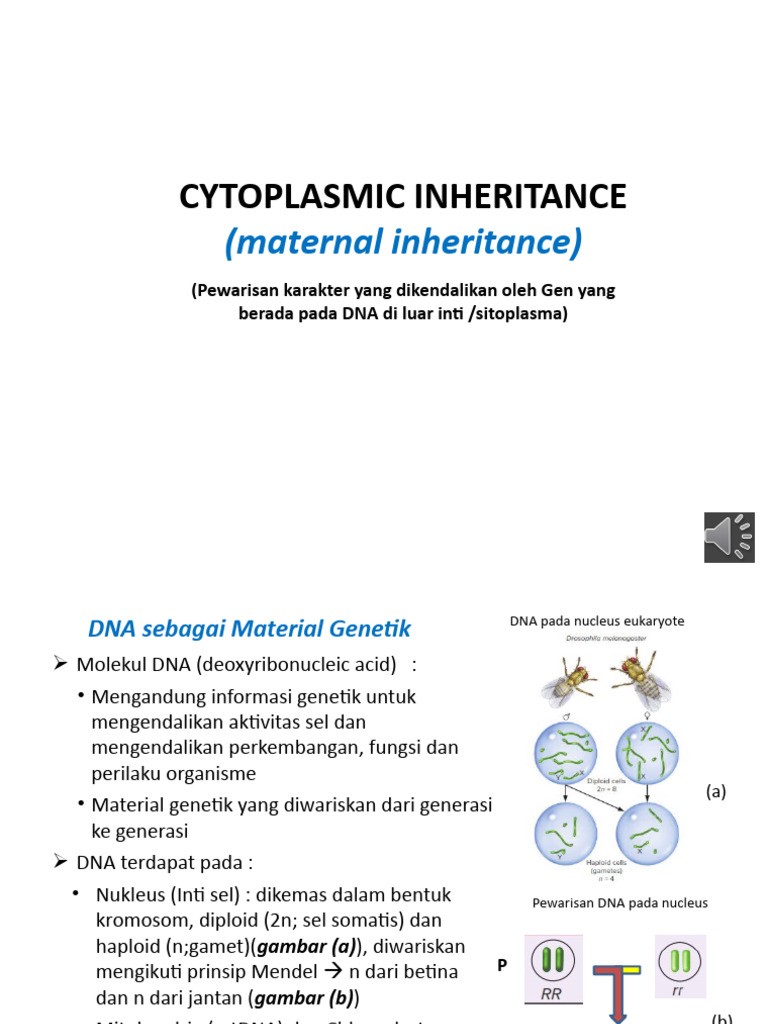 GENETIKA HUTAN-Cytoplasmic Inheritance-2020 | PDF