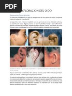 Otoscopia Normal | PDF | Oído | Anatomía