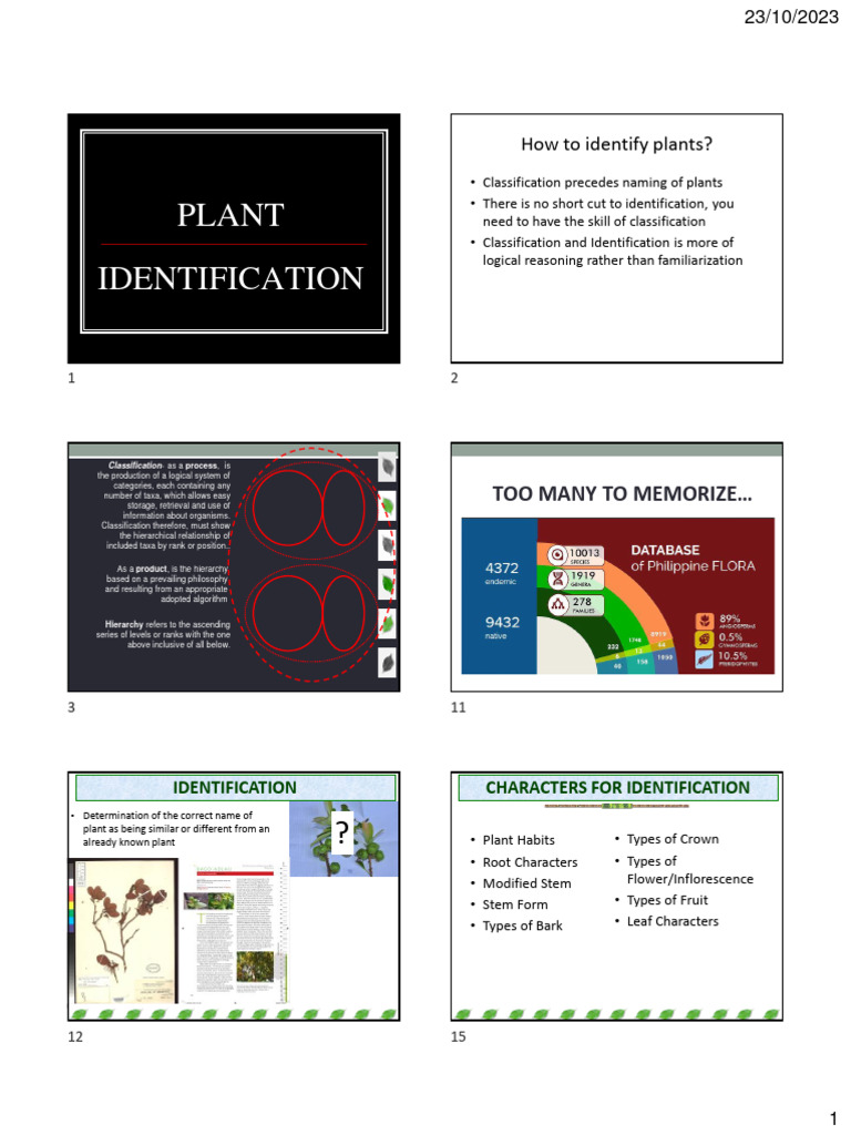 Plant Identification and Classification Guide | PDF | Root | Plants