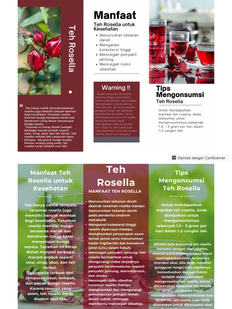 Contoh Leaflet | PDF