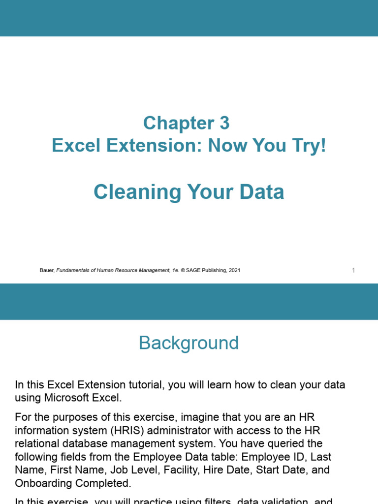 bauer_chapter_3_-_excel_extension_1 | PDF